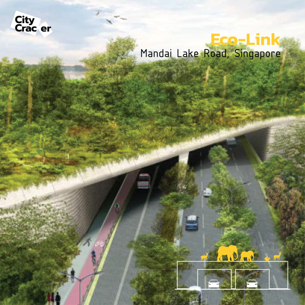 Wildlife Crossing เมื่อสรรพสัตว์ก็ต้องข้ามสะพานลอย - CITY CRACKER